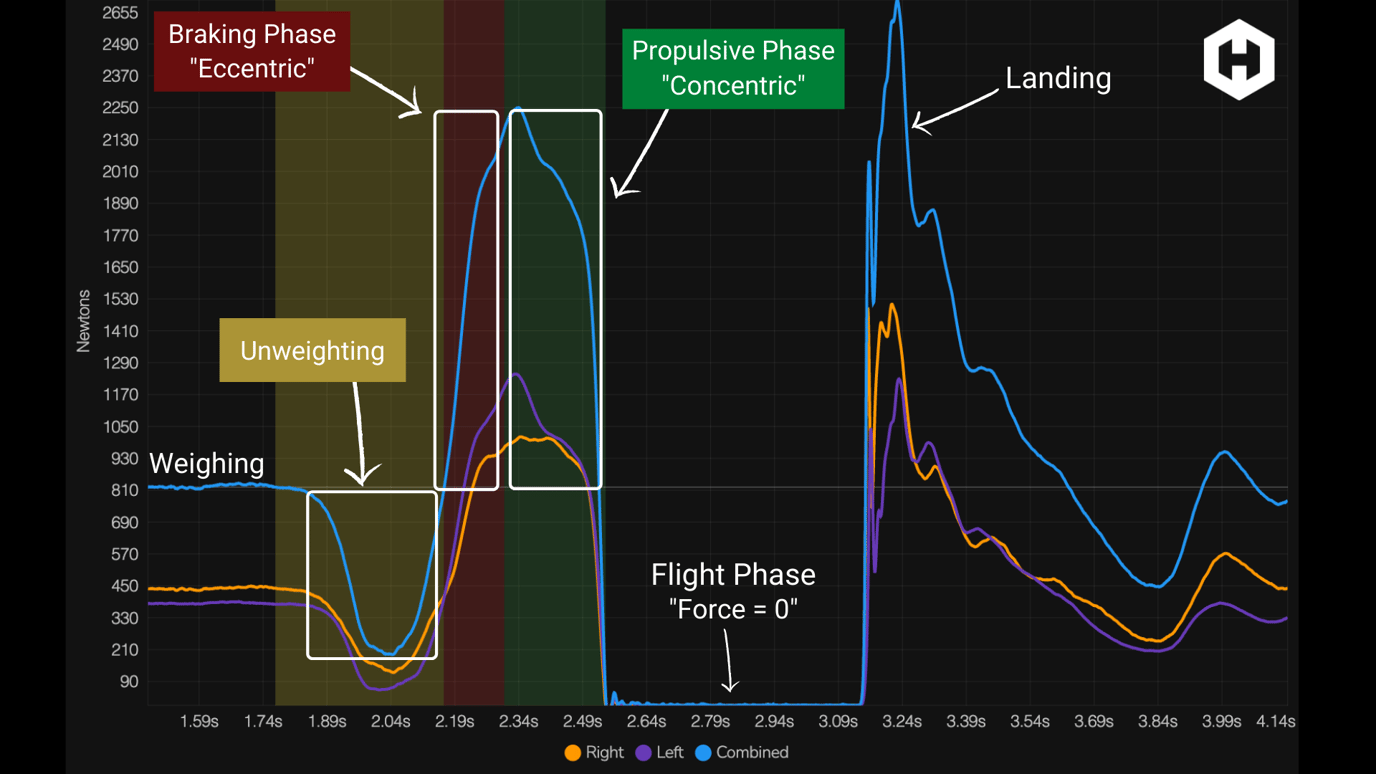 Which phases are Eccentric & Concentric?