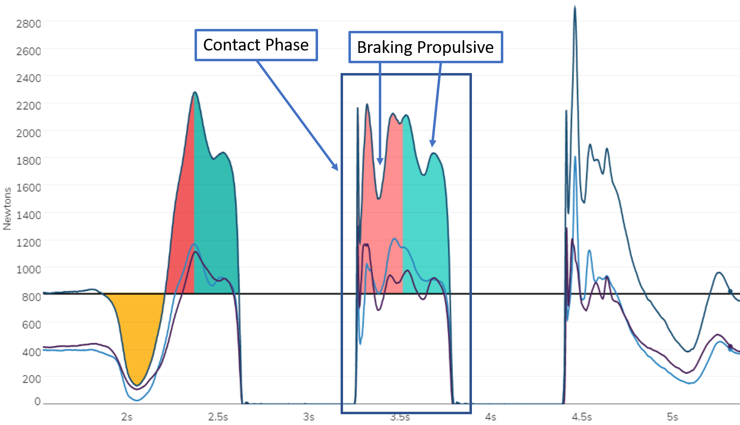 Understanding Force Plate Data